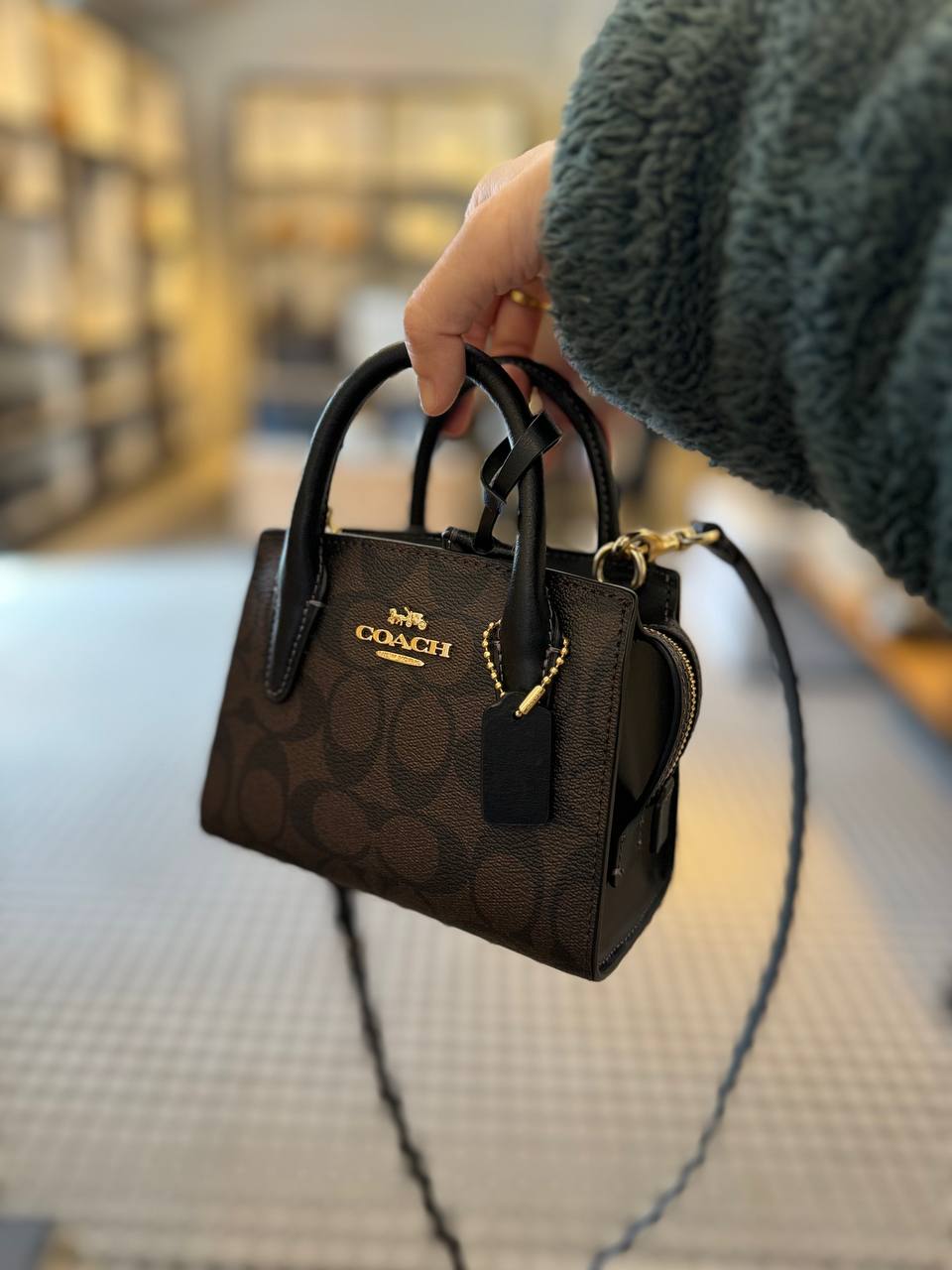 (Pre Order) coach andrea mini carryall in signature brown - Amory